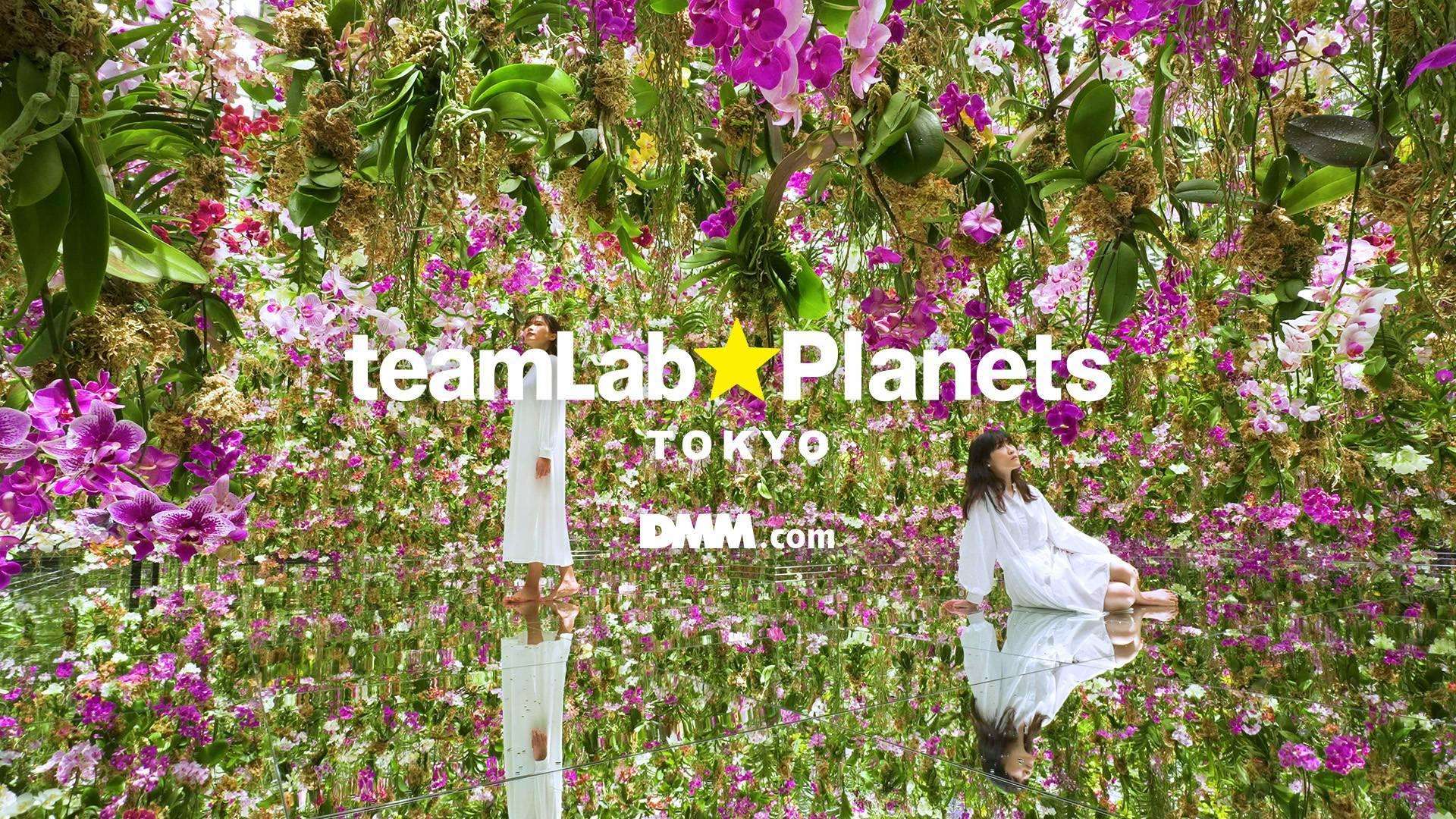 Indoor Playgrounds in Tokyo – Locals in Japan