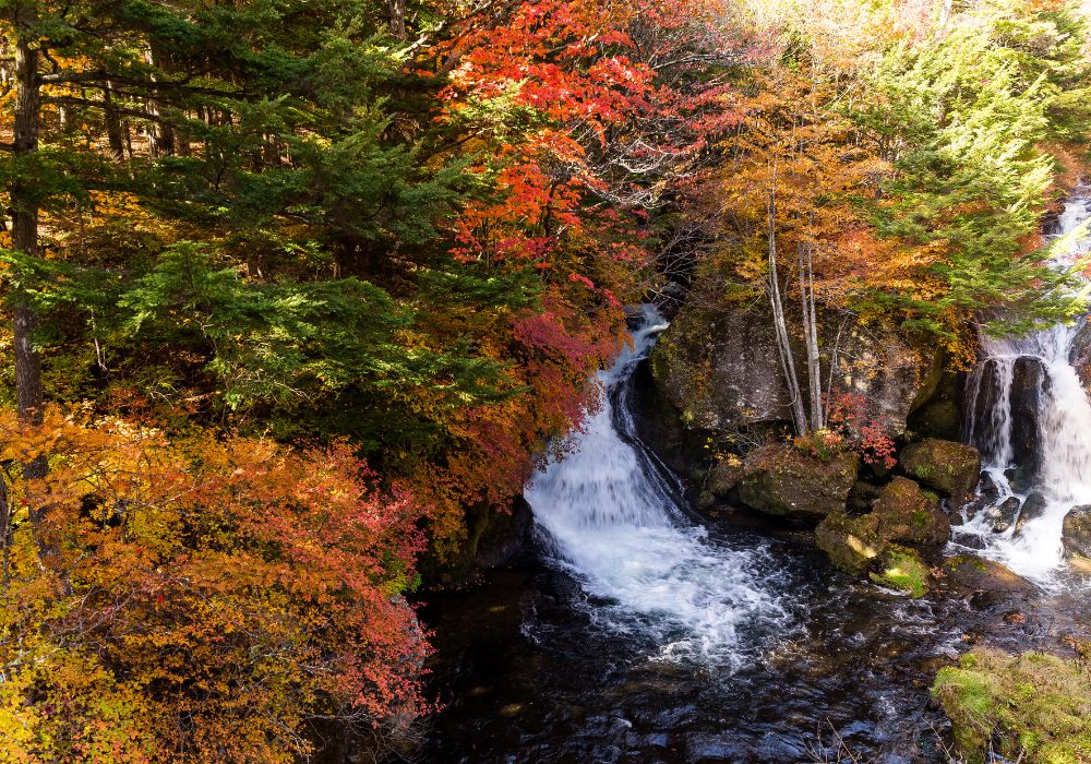 Best Foliage Spots and Where to Stay in Nikko - Locals in Japan